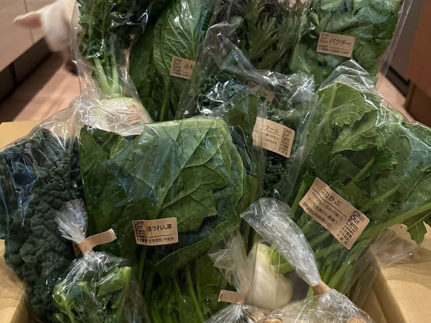 【春芽】アスパラ含む野菜セット！\みずみずしいアスパラガス400g＋「今が旬！野菜」約5から6種類の野菜セット/【農薬・化学肥料不使用】：埼玉 ...