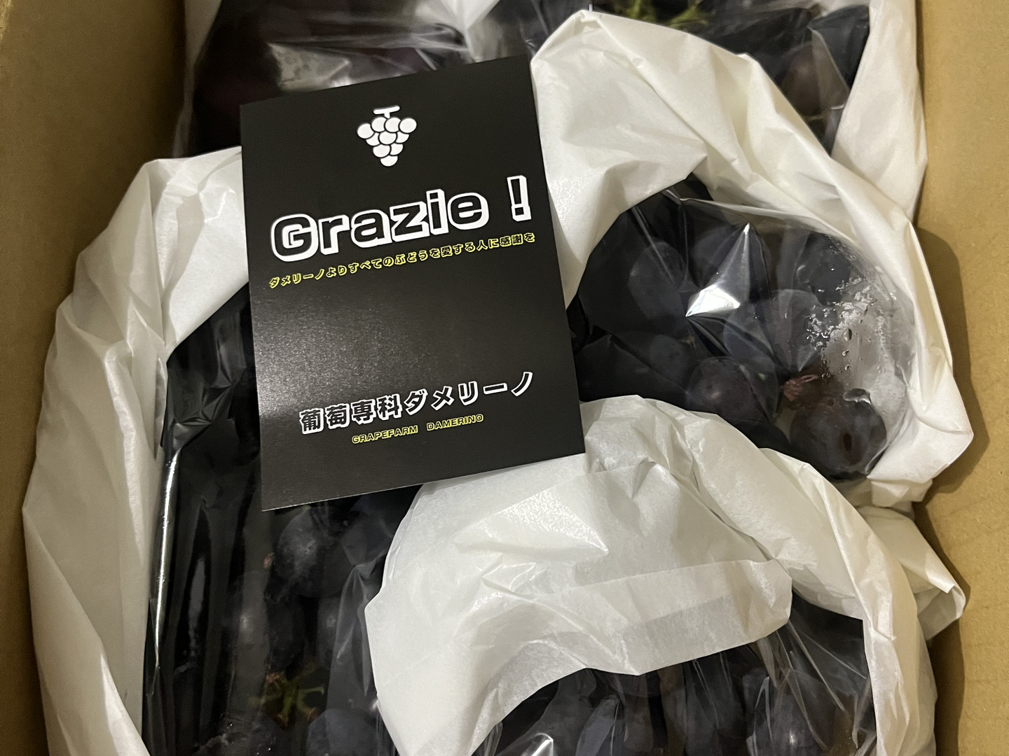 【予約開始】クール便【家庭用】幻の品種 高尾ぶどう：山形県産の高尾｜食べチョク｜産地直送(産直)お取り寄せ通販 - 農家・漁師から旬の食材を直送