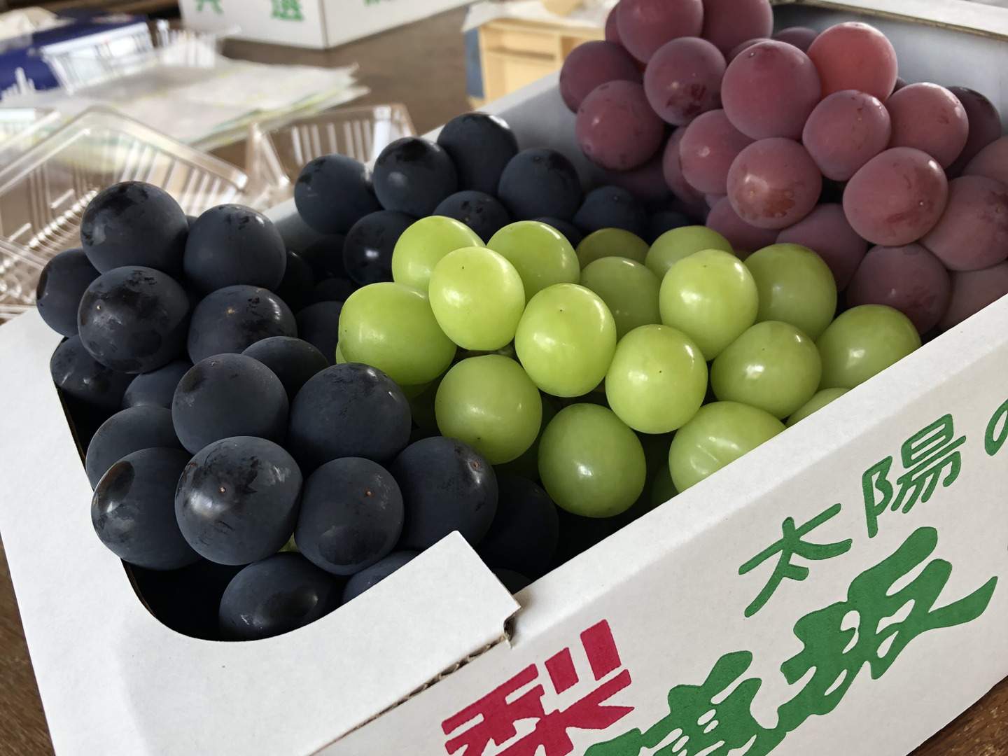 【朝収穫で鮮度抜群】ミックスぶどう4種約1.8kg(4〜6房)：山梨県産のシャインマスカット｜食べチョク｜産地直送(産直)お取り寄せ通販 - 農家・漁師から旬の食材を直送