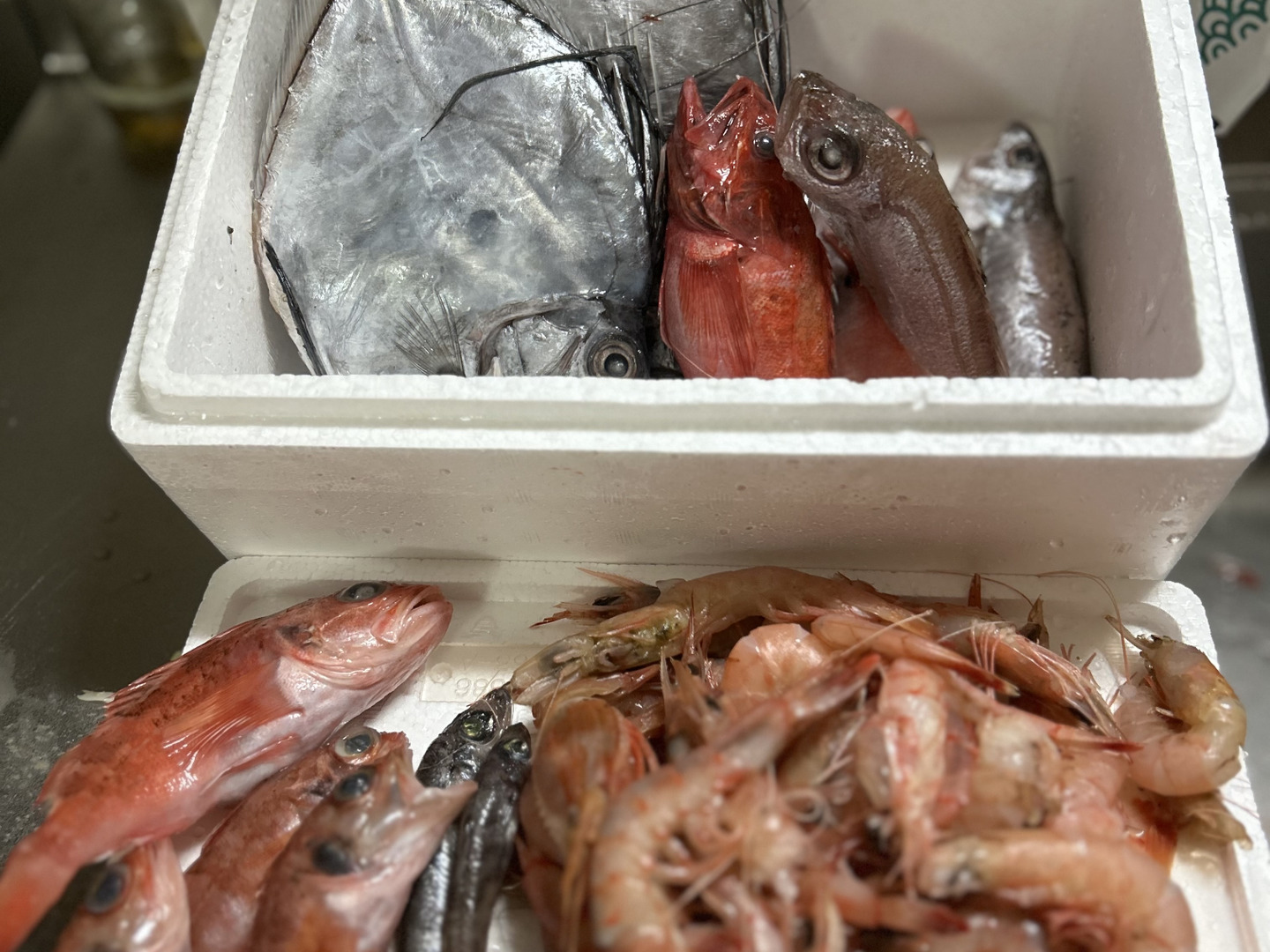 魚ガチャ】初心者必見!何が入っているかわからない[未利用魚 魚ガチャ】初心者必見!何が入っているかわからない[未利用魚