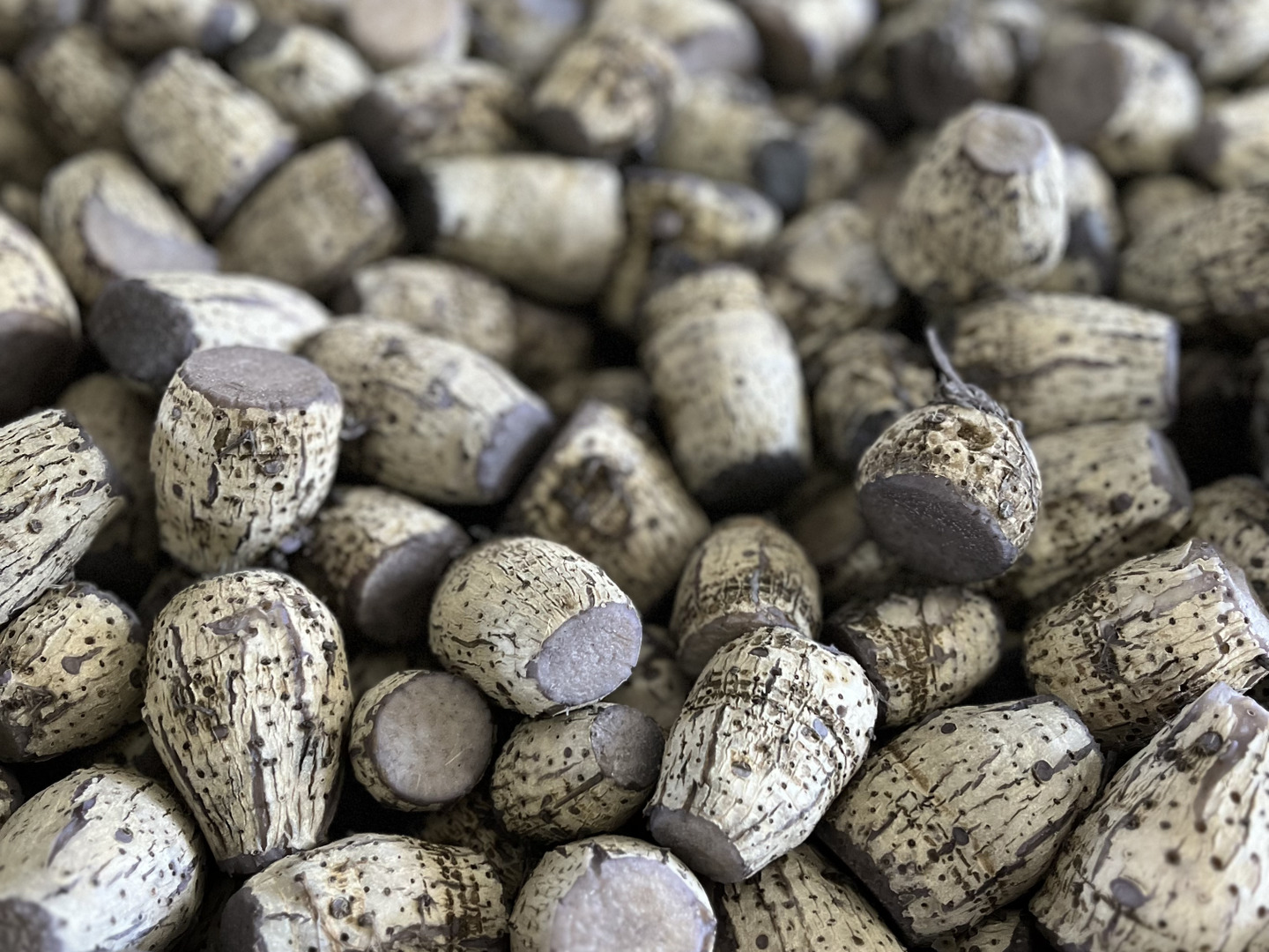 沖縄伝統野菜『田芋』冷凍小芋（750g×2p）：沖縄県産の野菜｜食べチョク｜産地直送(産直)お取り寄せ通販 - 農家・漁師から旬の食材を直送