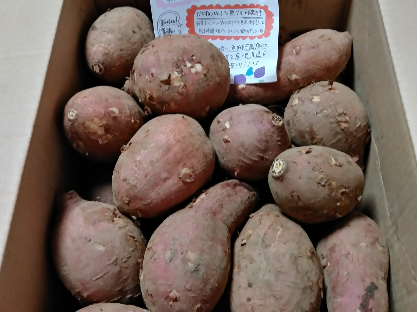 【絶品】aimo農園｜安納芋 Mサイズ 5kg(箱別)：鹿児島県産の安納紅｜食べチョク｜産地直送(産直)お取り寄せ通販 - 農家・漁師から旬の食材を直送