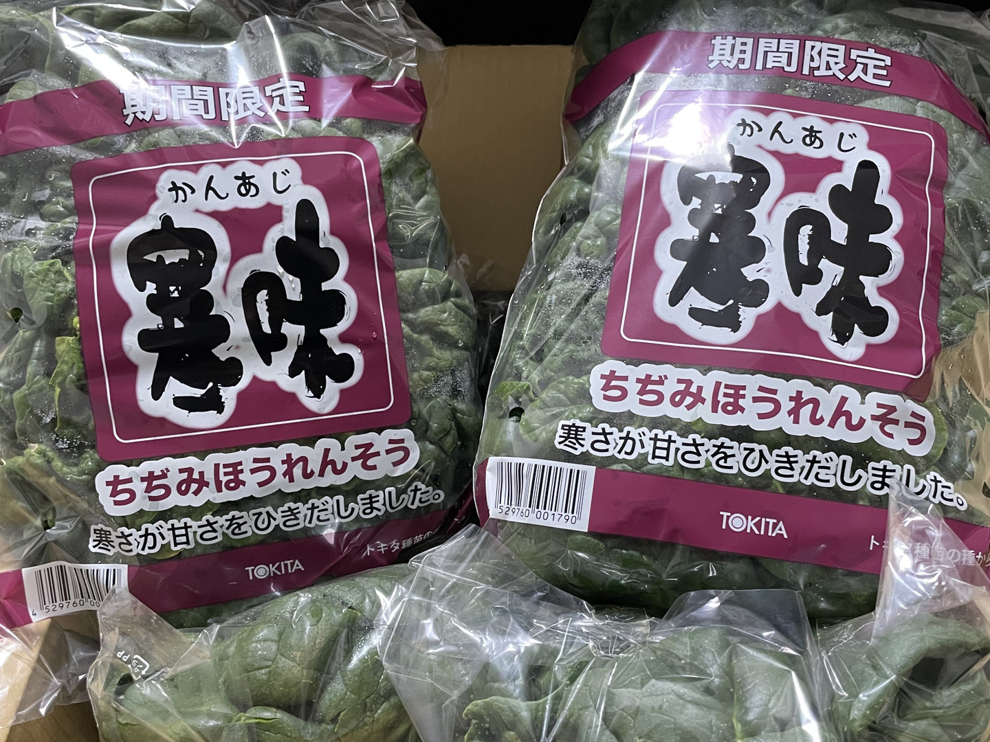 冬季限定【寒締ちぢみほうれん草】6袋（1袋に200〜250g入り）合計1.2〜1.5kg：茨城県産の寒味｜食べチョク｜産地直送(産直)お取り寄せ通販 - 農家・漁師から旬の食材を直送