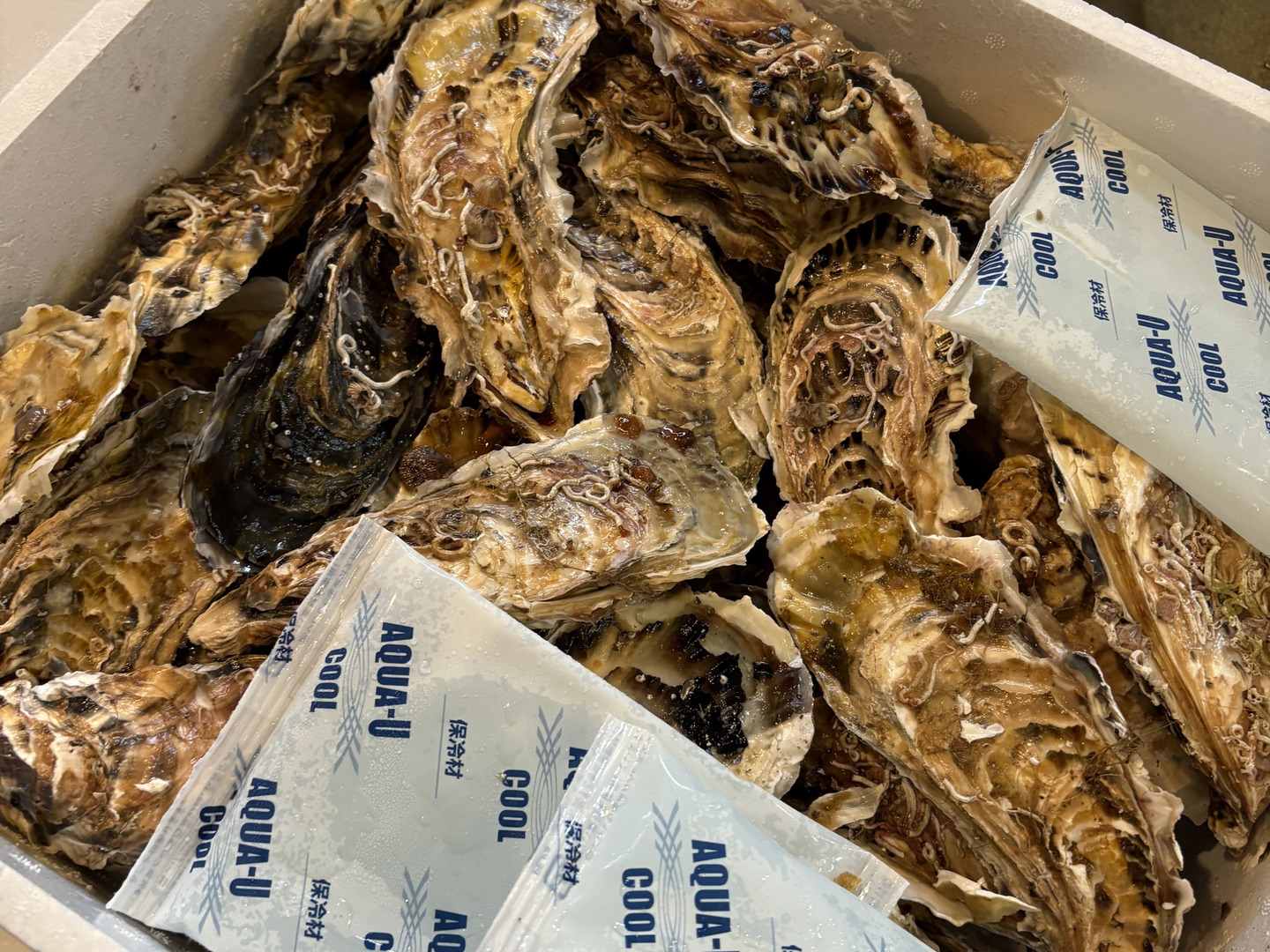 バラ牡蠣 生食可 7kg （45～60個くらい）：北海道産の牡蠣｜食べチョク｜産地直送(産直)お取り寄せ通販 - 農家・漁師から旬の食材を直送