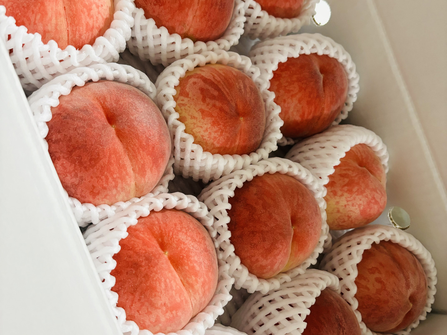 桃名人厳選 桃【ご家庭用 訳あり商品】白桃約3kg(8-12玉）：福島県産のはつひめ｜食べチョク｜産地直送(産直)お取り寄せ通販 - 農家・漁師から旬の食材を直送