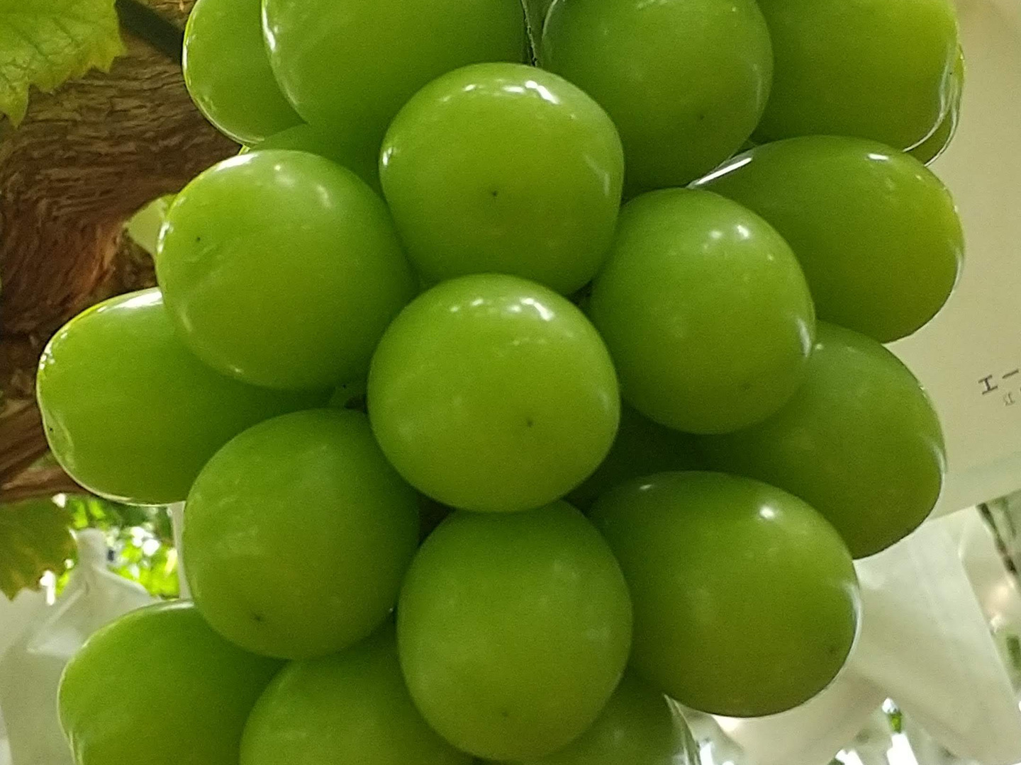 💫新鮮ぶどう·シャインマスカット2房【計1,1kg以上·高級化粧箱入り】 《夏ギフト·ご家庭用にも最適》：福岡県産のシャインマスカット｜食べ ...