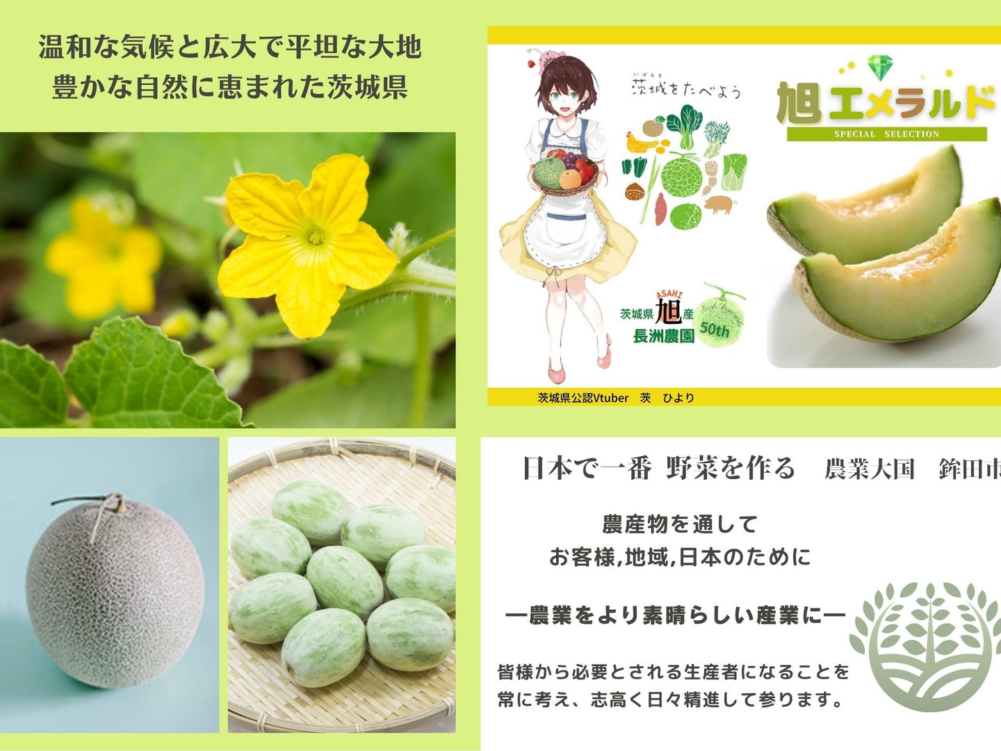 果汁たっぷり！茨城県旭村産クインシーメロン（赤肉）【特秀】1玉：茨城県産のクインシーメロン｜食べチョク｜産地直送(産直)お取り寄せ通販 ...