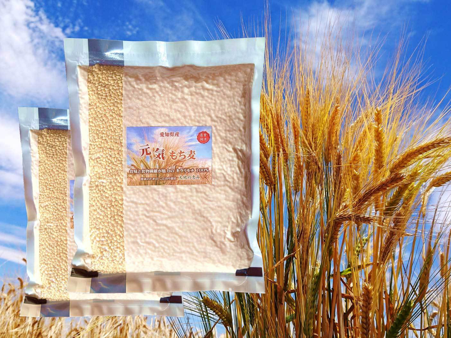 最終 もち麦 キラリモチ 合成農薬・化成肥料不使用 令和5年産900g お得な2袋セット( 900g×2袋）美味しくプチモチ腸活！：愛知県産の大麦｜食べチョク｜産地直送(産直)お取り寄せ通販 ...