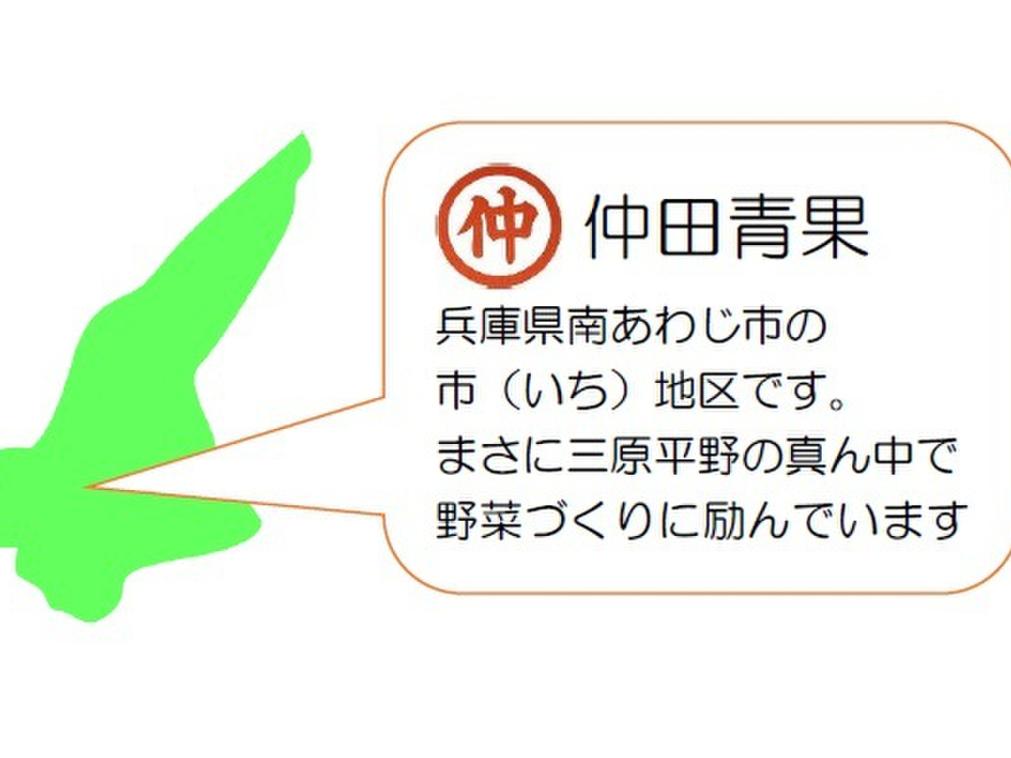 【野菜ソムリエサミット金賞🏆】淡路島玉ねぎ10kg：兵庫県産のターザン｜食べチョク｜産地直送(産直)お取り寄せ通販 - 農家・漁師から旬の食材を直送