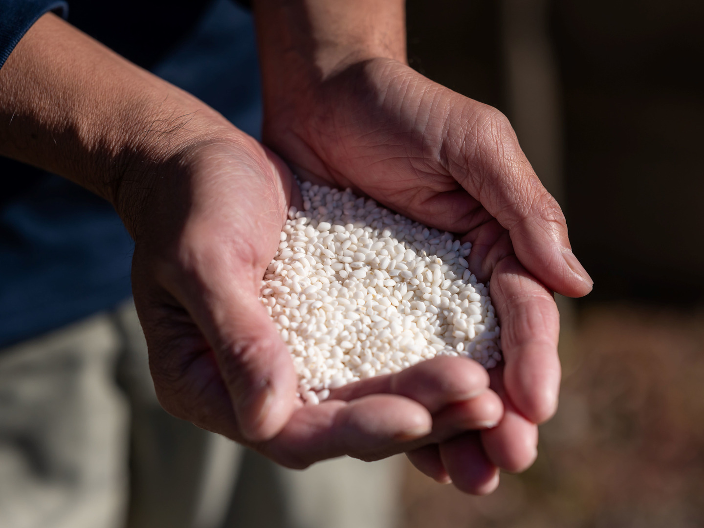 玄米入り切り餅520g (8個) まんげつもち100%：埼玉県産の加工品｜食べチョク｜産地直送(産直)お取り寄せ通販 - 農家・漁師から旬の食材を直送