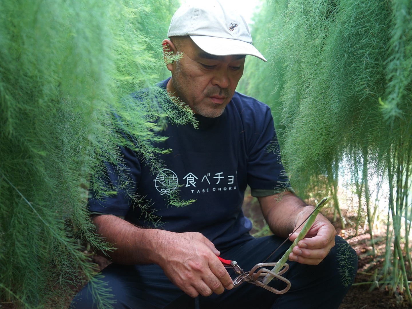 生でも食べれる湧水で育てたアスパラガス 700g佐賀県伊万里産：佐賀県産のウェルカム｜食べチョク｜産地直送(産直)お取り寄せ通販 - 農家・漁師から旬の食材を直送