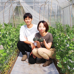 TONY farmへのレビュー・商品：北海道｜食べチョク｜産地直送(産直)お取り寄せ通販 - 農家・漁師から旬の食材を直送