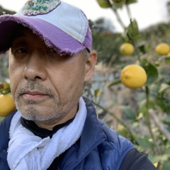 熱海柑橘農園 ATAMI de LEMON®へのレビュー・商品：静岡県｜食べチョク｜産地直送(産直)お取り寄せ通販 - 農家・漁師から旬の食材を直送