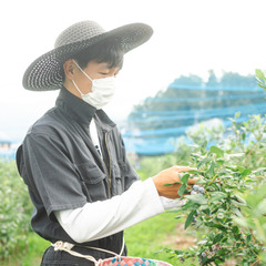 WING FARM - ウィングファームへのレビュー・商品：長野県｜食べチョク｜産地直送(産直)お取り寄せ通販 - 農家・漁師から旬の食材を直送