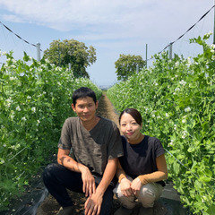 TONY farmへのレビュー・商品：北海道｜食べチョク｜産地直送(産直)お取り寄せ通販 - 農家・漁師から旬の食材を直送