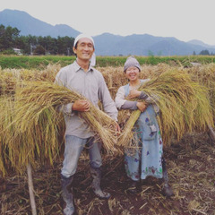 SAMA SAMA FARMへのレビュー・商品：長野県｜食べチョク｜産地直送(産直)お取り寄せ通販 - 農家・漁師から旬の食材を直送