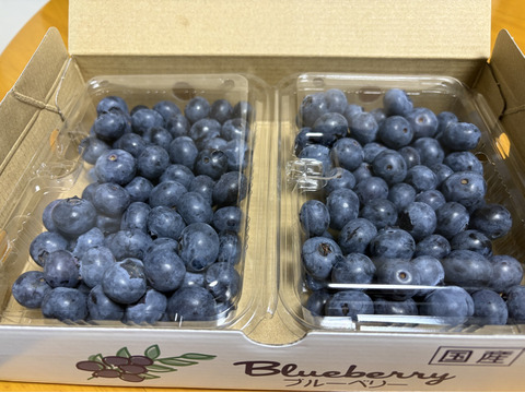 【冷蔵】パリッと爽やかな「高滝湖ブルーベリー」（露地栽培）250g×2p（ハイブッシュ）：千葉県産のブルーベリー｜食べチョク｜産地直送(産直)お取り寄せ通販 - 農家・漁師から旬の食材を直送