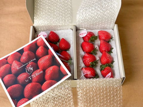 完熟あまりん！数量限定！250g×2P 20粒～24粒 2/10日より順次発送！！：埼玉県産のあまりん｜食べチョク｜産地直送(産直)お取り寄せ通販 - 農家・漁師から旬の食材を直送