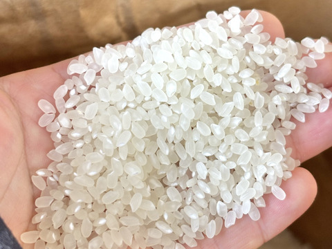 【新米】R7年産 秋田県産あきたこまち 白米10kg：秋田県産のお米｜食べチョク｜産地直送(産直)お取り寄せ通販 - 農家・漁師から旬の食材を直送