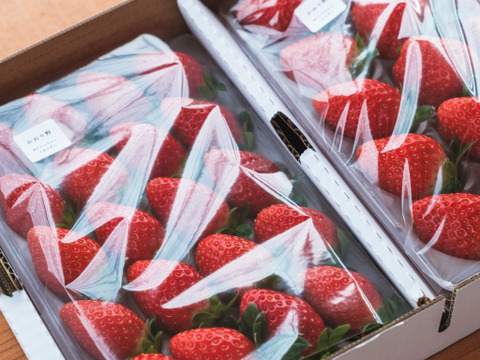 爽やかな香り！かおり野2P お得なご家庭用！ 230g×2p：山梨県産のかおり野｜食べチョク｜産地直送(産直)お取り寄せ通販 - 農家・漁師から旬の食材を直送