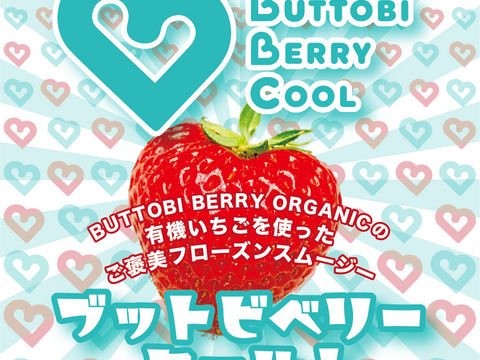 有機いちごのフローズンスムージー BUTTOBI BERRY COOL：徳島県産のアイスクリーム・ジェラート｜食べチョク｜産地直送(産直)お ...