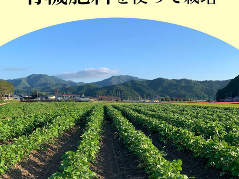 丹波篠山 黒枝豆 枝豆 丹波 黒豆 600g × 2 丹波篠山産 2024年 丹波 枝豆 もっちり 黒大豆 大粒 波部黒 丹波黒 高級 1200g 黒大豆枝豆 枝なし さや：兵庫県産の黒豆 ...