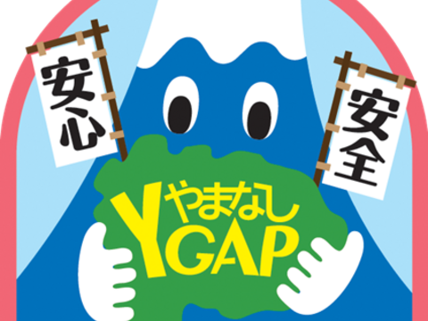 【訳あり】山梨県産さくらんぼ（約500g／M～3Lサイズ）：山梨県産の佐藤錦｜食べチョク｜産地直送(産直)お取り寄せ通販 - 農家・漁師から旬の食材を直送