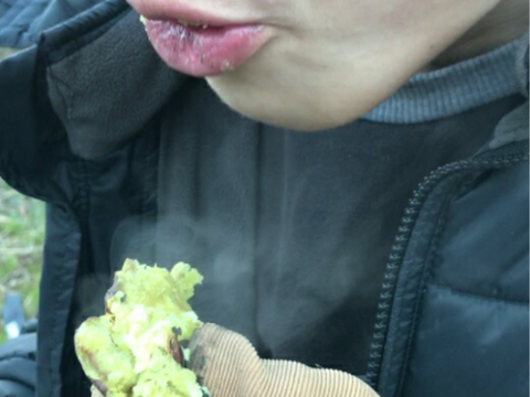 紅あずま10Kg箱 さつまいも ホクホク食感千葉県産 訳あり2S ~Lサイズ 熟成済【土付き】：千葉県産のその他さつまいも｜食べチョク｜産地直送(産直)お取り寄せ通販 - 農家・漁師から旬の食材を直送