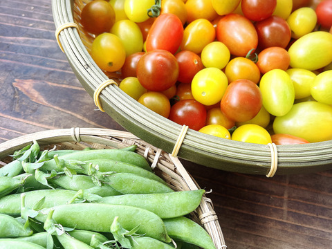 有機JAS認証⭐ミニトマトとスナップえんどう詰め合わせ⭐3.3kg⭐：栃木県産の野菜セット｜食べチョク｜産地直送(産直)お取り寄せ通販 - 農家・漁師から旬の食材を直送