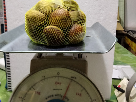 兵庫産 ホクホク 大粒2L～3L 和栗（500g）：兵庫県産の品種おまかせ｜食べチョク｜産地直送(産直)お取り寄せ通販 - 農家・漁師から旬の食材を直送