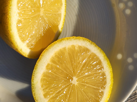 バレンタイン🌸種無しレモン1個入り小粒な春レモン娘(栽培期間中農薬不使用・有機肥料・ノーワックス防腐剤)(10個入り)：静岡県産のみかん・柑橘 ...