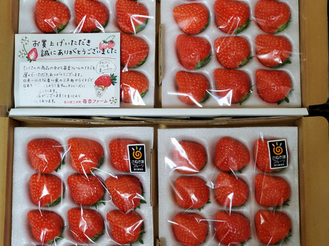 【SNSが得意じゃないイチゴ農家（41歳）が情熱を注ぐ】おうちでいちご狩り気分セット約1.7kg【苺音スタンダード約1.7kg】：香川県産のさぬきひめ｜食べチョク｜産地直送(産直)お取り寄せ ...