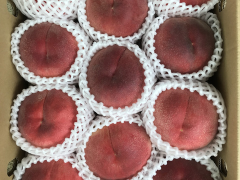 山梨県産やわらかめの”甘〜い桃” 口の中でじゅわっと広がる約3kg（8～11玉）贈答 ギフト ご家庭にも：山梨県産の白桃｜食べチョク｜産地直送(産直)お取り寄せ通販 - 農家・漁師から旬の食材を直送