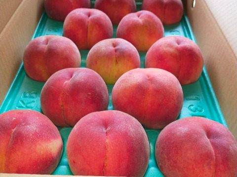 【お中元】【夏ギフト】【8月上旬発送】甘くてジューシーな長野県産 川中島白鳳 5kg（10～16玉）：長野県産の川中島白鳳｜食べチョク｜産地直送(産直)お取り寄せ通販 - 農家・漁師から旬の食材を直送