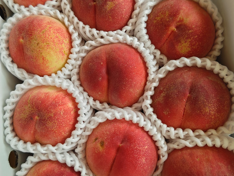 桃名人厳選 桃【ご家庭用 訳あり商品】白桃約3kg(8-12玉）：福島県産のはつひめ｜食べチョク｜産地直送(産直)お取り寄せ通販 - 農家・漁師から旬の食材を直送