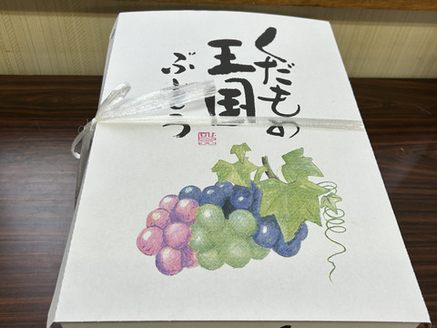 [糖度20%超え！]シャインマスカット家庭用3〜4房(1房600〜700g)：岡山県産の果物｜食べチョク｜産地直送(産直)お取り寄せ通販 - 農家・漁師から旬の食材を直送