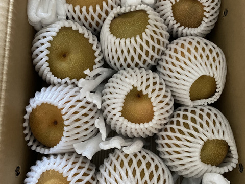 【コンビニ決済不可】【9/14まで】豊水 3kg 2Lサイズ(10玉入)：千葉県産の豊水｜食べチョク｜産地直送(産直)お取り寄せ通販 - 農家・漁師から旬の食材を直送