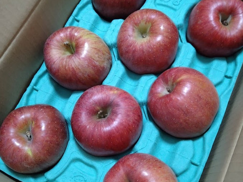 【完売】あいかの香り 華やかな香りの希少りんご 2.5kg（6～11個）：青森県産のあいかの香り｜食べチョク｜産地直送(産直)お取り寄せ通販 - 農家・漁師から旬の食材を直送