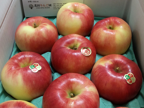 【予約販売】秋はさっぱり さんさ 約3kg(10～12個)：岩手県産のさんさ｜食べチョク｜産地直送(産直)お取り寄せ通販 - 農家・漁師から旬の食材を直送