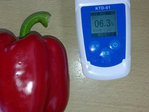 【Lサイズ 180g以上】【赤色 24個】めちゃくちゃ甘い！ジューシー肉厚パプリカ！：長野県産のその他パプリカ｜食べチョク｜産地直送(産直)お ...