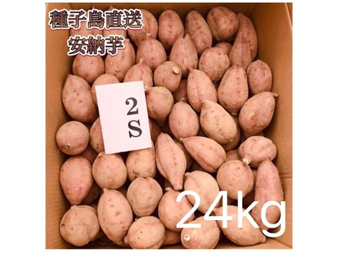 【絶品】aimo農園｜安納芋 2Sサイズ 24kg(箱別)：鹿児島県産の安納紅｜食べチョク｜産地直送(産直)お取り寄せ通販 - 農家・漁師から旬の食材を直送