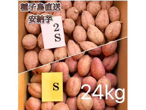 【絶品】aimo農園｜種子島産 安納芋 2S&S 混合24kg(箱別)：鹿児島県産の安納紅｜食べチョク｜産地直送(産直)お取り寄せ通販 - 農家・漁師から旬の食材を直送