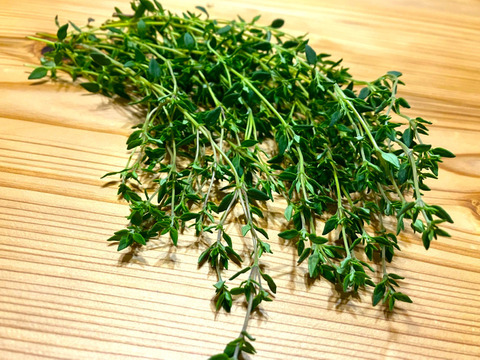 【80サイズまとめ買い用・有機JAS認証】朝採り・タイム 50g：佐賀県産のタイム｜食べチョク｜産地直送(産直)お取り寄せ通販 - 農家・漁師から旬の食材を直送