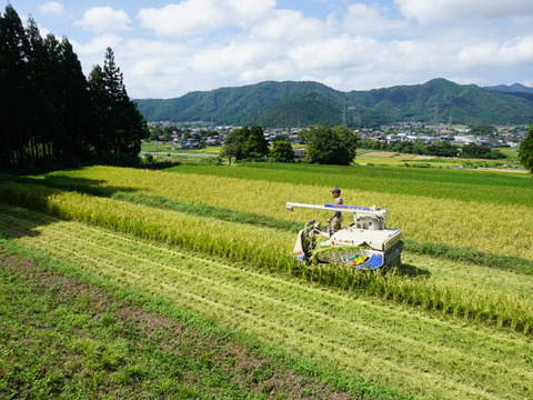 有機JASもち米 古代米 3kg 農薬不使用：福井県産の古代米｜食べチョク｜産地直送(産直)お取り寄せ通販 - 農家・漁師から旬の食材を直送