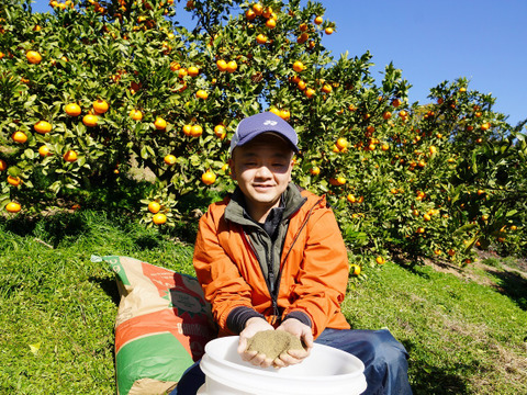 秋の爽やかな味覚！和歌山オリジナル品種『YN-26』約2kg：和歌山県産のみかん・柑橘類｜食べチョク｜産地直送(産直)お取り寄せ通販 - 農家・漁師から旬の食材を直送