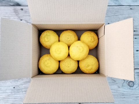 【数量限定】有機JAS認証ゆず（黄玉・優品）3kg：徳島県産のみかん・柑橘類｜食べチョク｜産地直送(産直)お取り寄せ通販 - 農家・漁師から旬の食材を直送