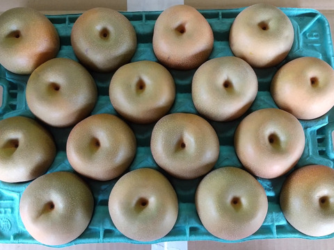 豊水 5kg 2Lサイズ(16玉入)：千葉県産の豊水｜食べチョク｜産地直送(産直)お取り寄せ通販 - 農家・漁師から旬の食材を直送