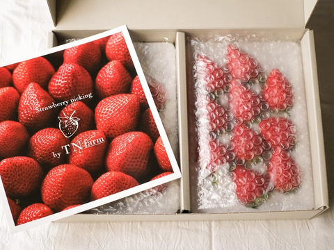 完熟ほしうらら！！数量限定！250g×2P 20粒～24粒 順次発送！！：埼玉県産のほしうらら｜食べチョク｜産地直送(産直)お取り寄せ通販 - 農家・漁師から旬の食材を直送