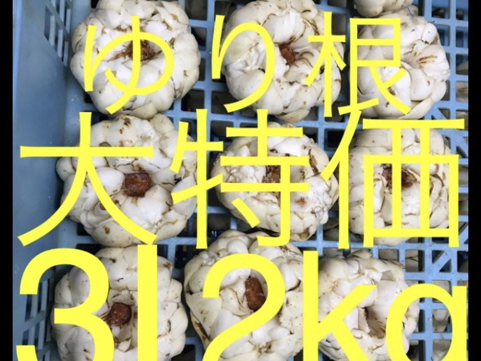 北海道産 ゆり根 3L 2kg お徳用 大特価 野菜：北海道産のゆり根｜食べチョク｜産地直送(産直)お取り寄せ通販 - 農家・漁師から旬の食材を直送