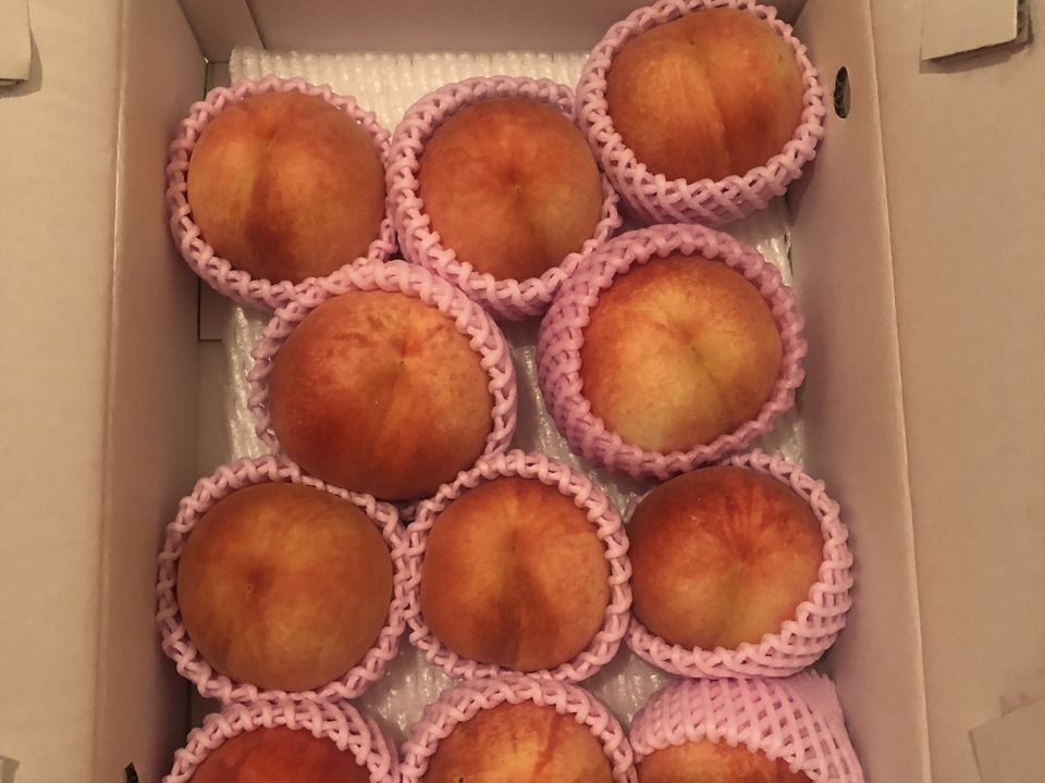 希少な桃 美桃紅 約3kg 8～16玉 8月下旬【ASIAGAP認証農場：津軽農園】 安心・安全な桃 収穫した日に発送 家庭用 農家直送【朝どれ】：青森県産の美桃紅｜食べチョク｜産地直送(産直 ...